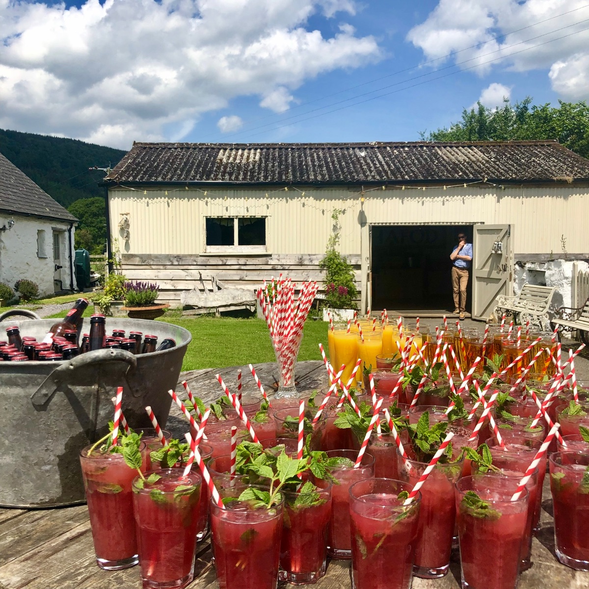 Wedding Venue in Betws-y-coed , Hafod Farm | UKbride