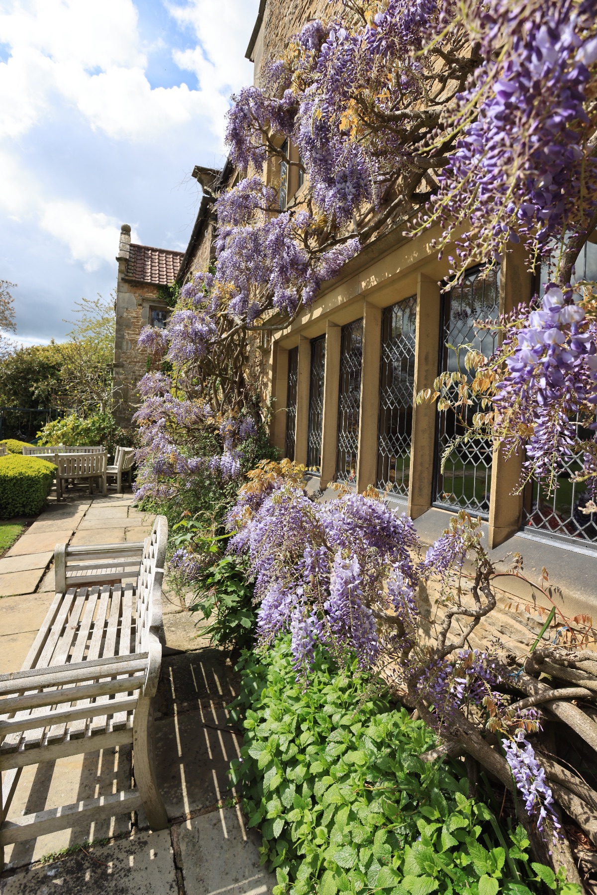 Wedding Venue in York, Crayke Manor | UKbride